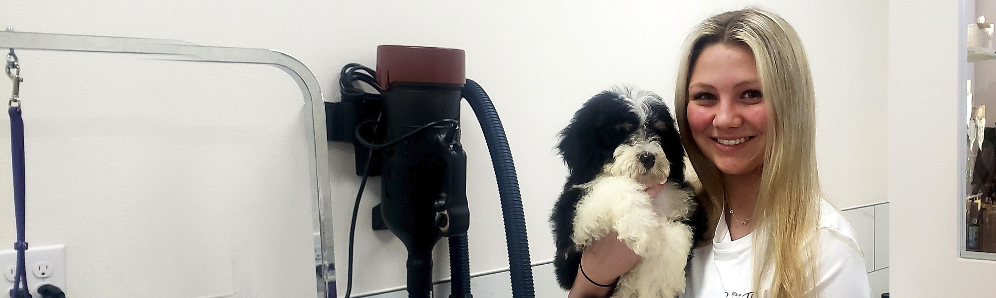 It's a Paw Thang | Let Our Staff Wash Your Dog for You